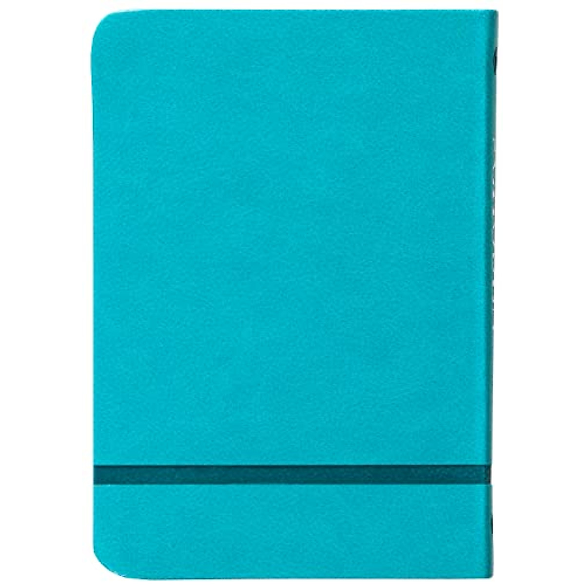 The Chosen for Kids Book One: 40 Days With Jesus