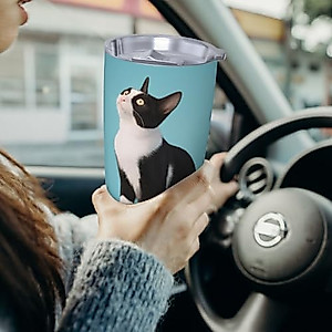 EKPRAVDKTF Cat 20oz Insulated Stainless Steel Tumbler With Lids And Straws, Double Wall Vacuum Travel Coffee Mug, Thermal Cup For Cold & Hot Drinks, Reusable Metal Straw & Brush