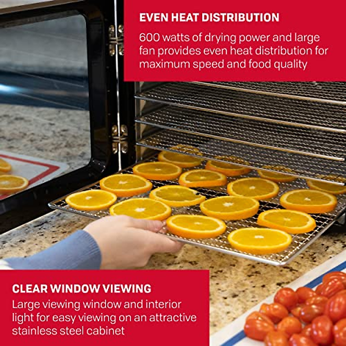 NESCO FD-7SSD Digital Food Dehydrator for Beef Jerky, Dried Fruit and Dog Treats, 7 Stainless Steel Trays, Silver
