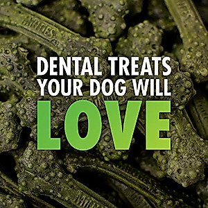 VetIQ Minties Dog Dental Bone Treats, Dental Chews for Dogs, (Perfect for Tiny / Small Dogs under 40 lbs), 80 Treats (box)
