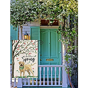 Hello Spring Dog Garden Flag 12x18 Inch Double Sided,Golden Retriever Under The Tree Small Yard Flag for Outdoor,Summer Seasonal Decors for Farmhouse Holiday Outside