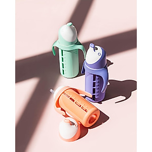 Set of 2 - Glass Sippy Cup for Toddlers - The Luca | Mint Green & Indigo Purple | Spill-Proof | Silicone Straw | 8 oz | Liquids Never Touch Plastic | Removable Handles…