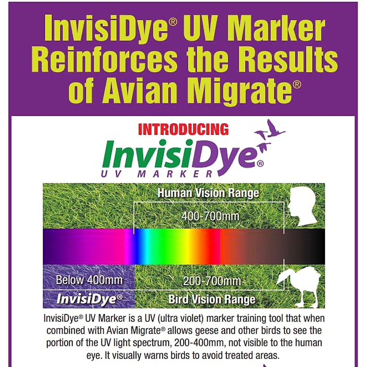 Goose Repellent UV Marker, Goose and Bird Detterent for Avian Migrate, Improves The Longevity of The Avian Migrate, Trains Geese and Birds to Avoid Areas, Invisidye (Two 8 oz Bottles)