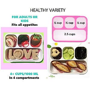 Pink + Coral Bento Lunch Boxes for School or Work, Kids and Adults Bundle of 3