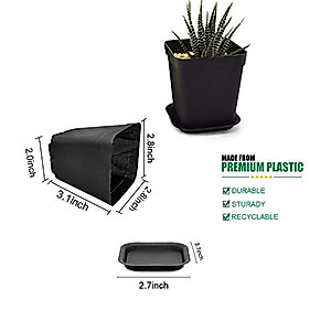 24 Pack 3 Inch Black Square Plastic Nursery Pots,Flowers Plant Pot Container with Saucers for Indoor Outdoor Plants,Herbs,Foliage Plant and Seeding Nursery