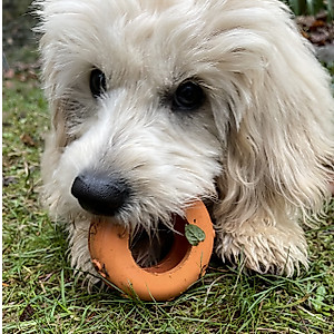 Grewal Equestrian Dog Toy for Chewers Made from 100% Organic Natural Rubber (Large - 5 5/16", Red)