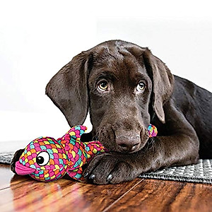 KONG WBZ31 Small Wubba Finz Pink Sm Dog Toy