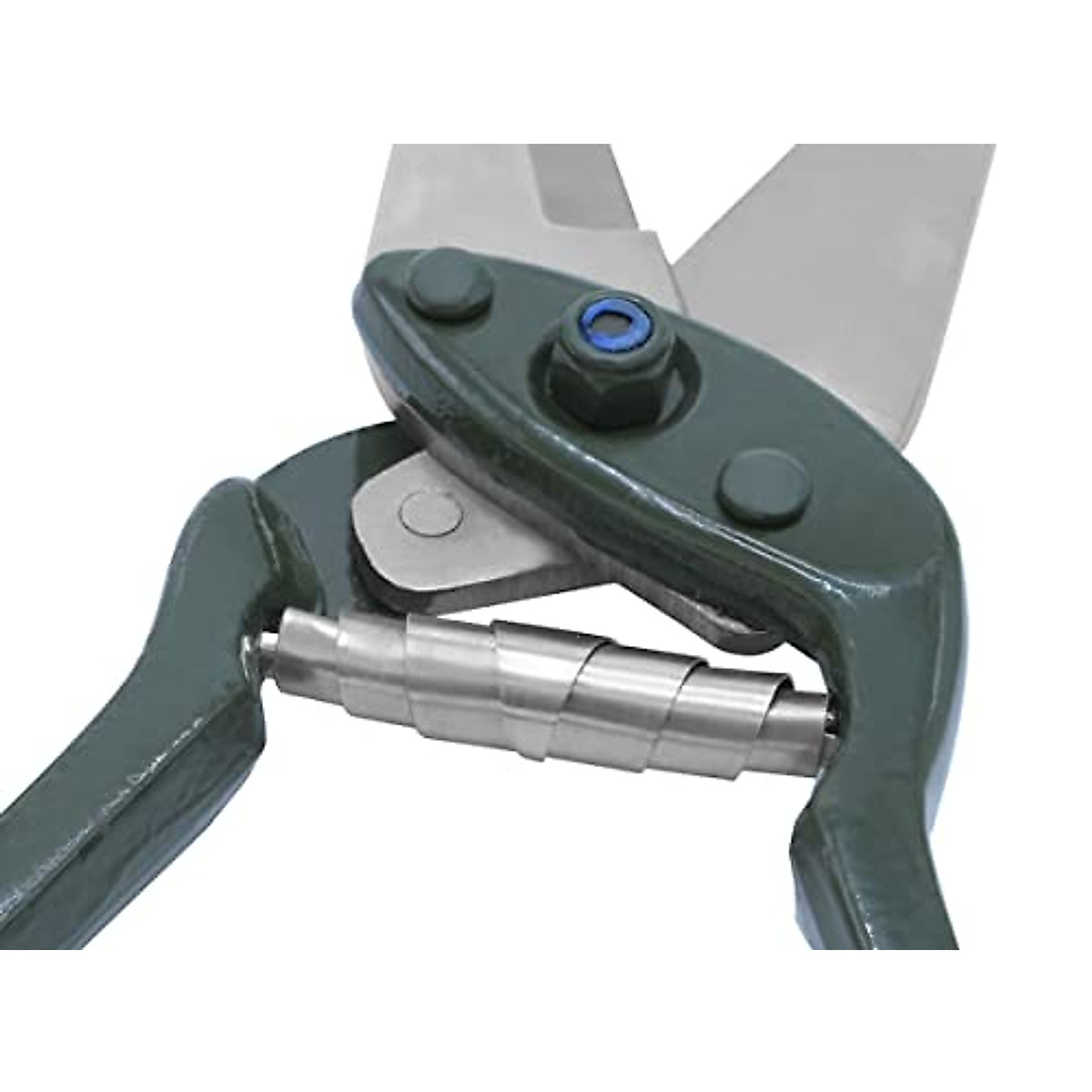 OdontoMed2011 Veterinary Hoof Foot Rot Shears Goat/Sheep, Green Color, Heavy Duty Model Instrument ODM