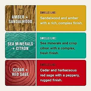 Every Man Jack Men's Deodorant Variety Set - Three Full-Sized Deodorant Sticks with Clean Ingredients & Incredible Scents - Cedar + Red Sage, Amber + Sandalwood, Sea Mineral + Citron - 3 oz (3 Pack)