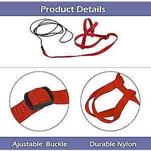 SZSJBK Bird Harness, Adjustable Parrot Nylon Leash with Anti-bite Design for Outdoor Activities Training, Suitable for Eastern Bluebonnet Parrot, Cockatoo, Parakeet, Doves 6.2ft (S)