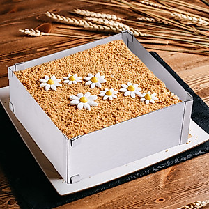 TXIN Stainless Steel Cake Ring Square Cake Mousse Mold Ring Cutter, Adjustable from 6 inch to 11 inch