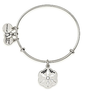 Alex and Ani Classics Expandable Bangle for Women, Endless Knot III Charm, Rafaelian Silver Finish, 2 to 3.5 in
