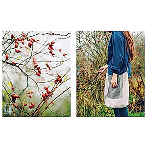 The Wild Dyer: A Maker's Guide to Natural Dyes with Projects to Create and Stitch