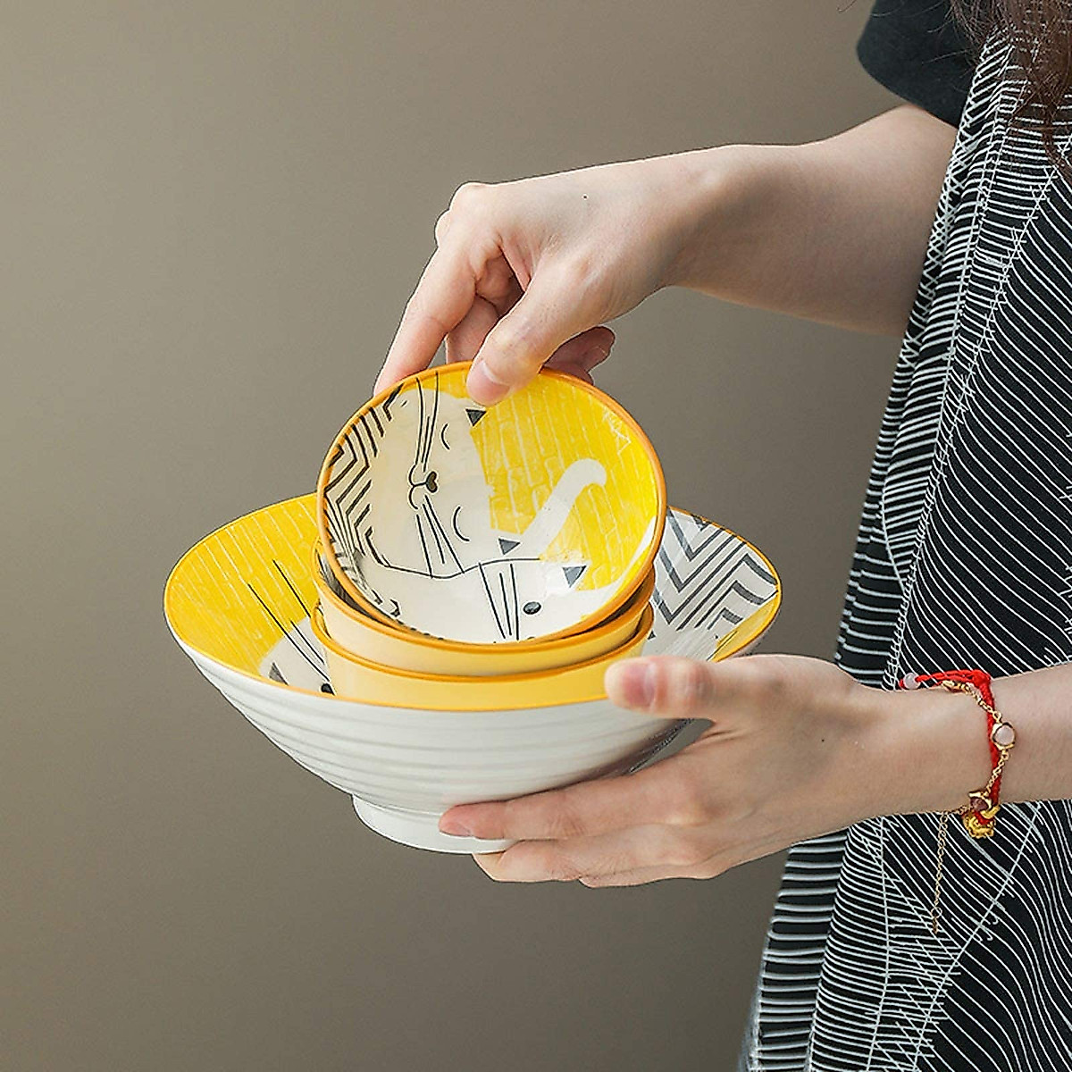 GagalU Porcelain Plate and Bowl Set,Creative Home Dinnerware Set 20 Piece of Cute Hand-Painted Cat Dinner Plate Sets Ceramic Plates and Bowls Sets, Service for 6 Dinnerware Set