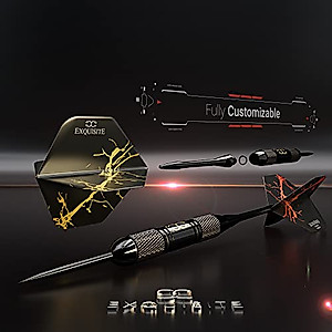 CC-Exquisite Professional Steel Tip Darts Set - 6 x 22g Brass Barrels with 12 Flights Standard/Slim, 12 Aluminum Shafts 35/48mm, 12 O-Rings, Dart Tool, Dart Sharpener and Case (Black & Gold)