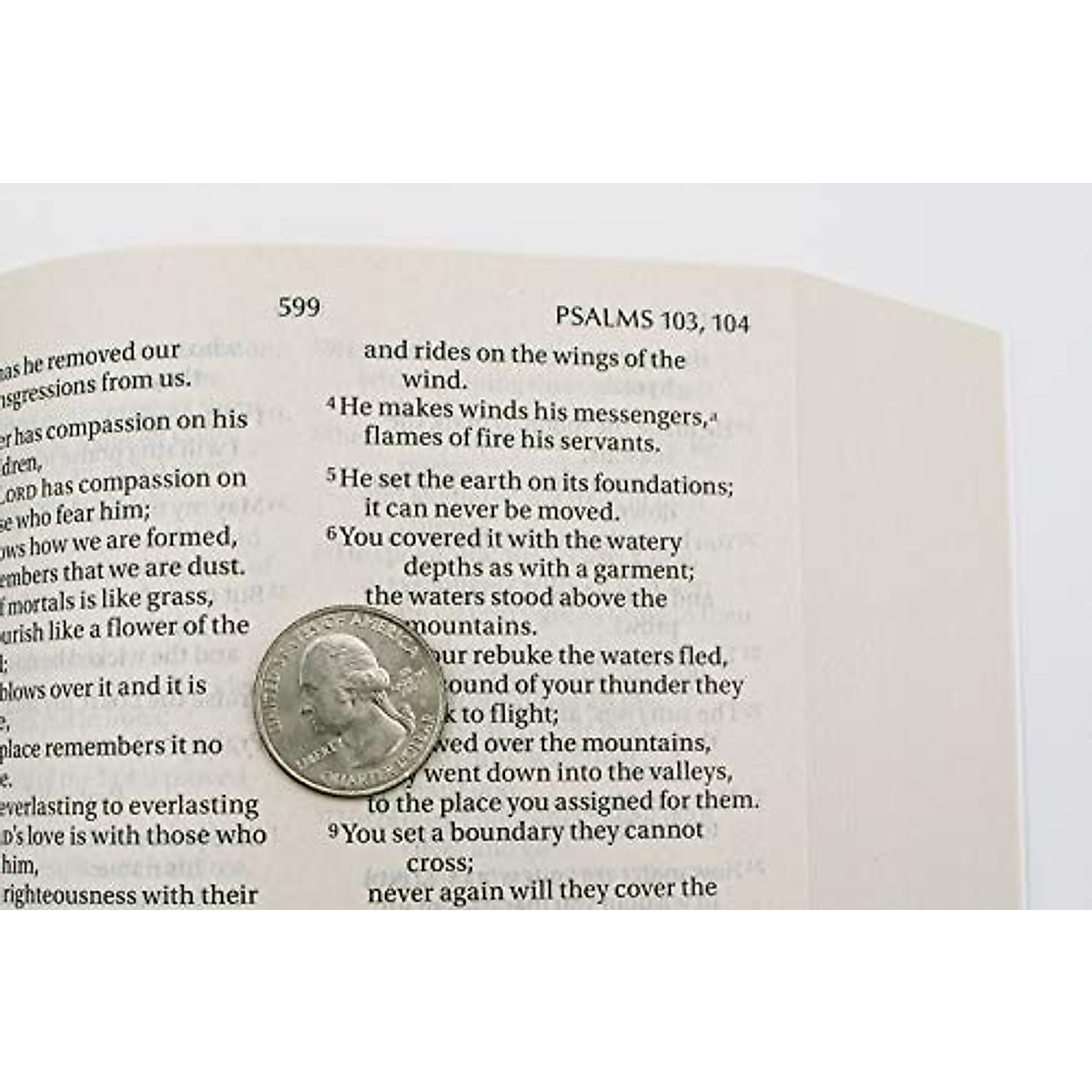 NIV, Holy Bible, Larger Print, Paperback