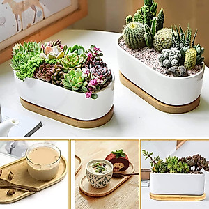 2PCS Small Wood Tray，Bamboo Tray，Wood Tray，Wood Bathroom Tray，Wooden soap Tray，Bathroom Counter Tray，Bamboo soap Dish，Kitchen soap Tray