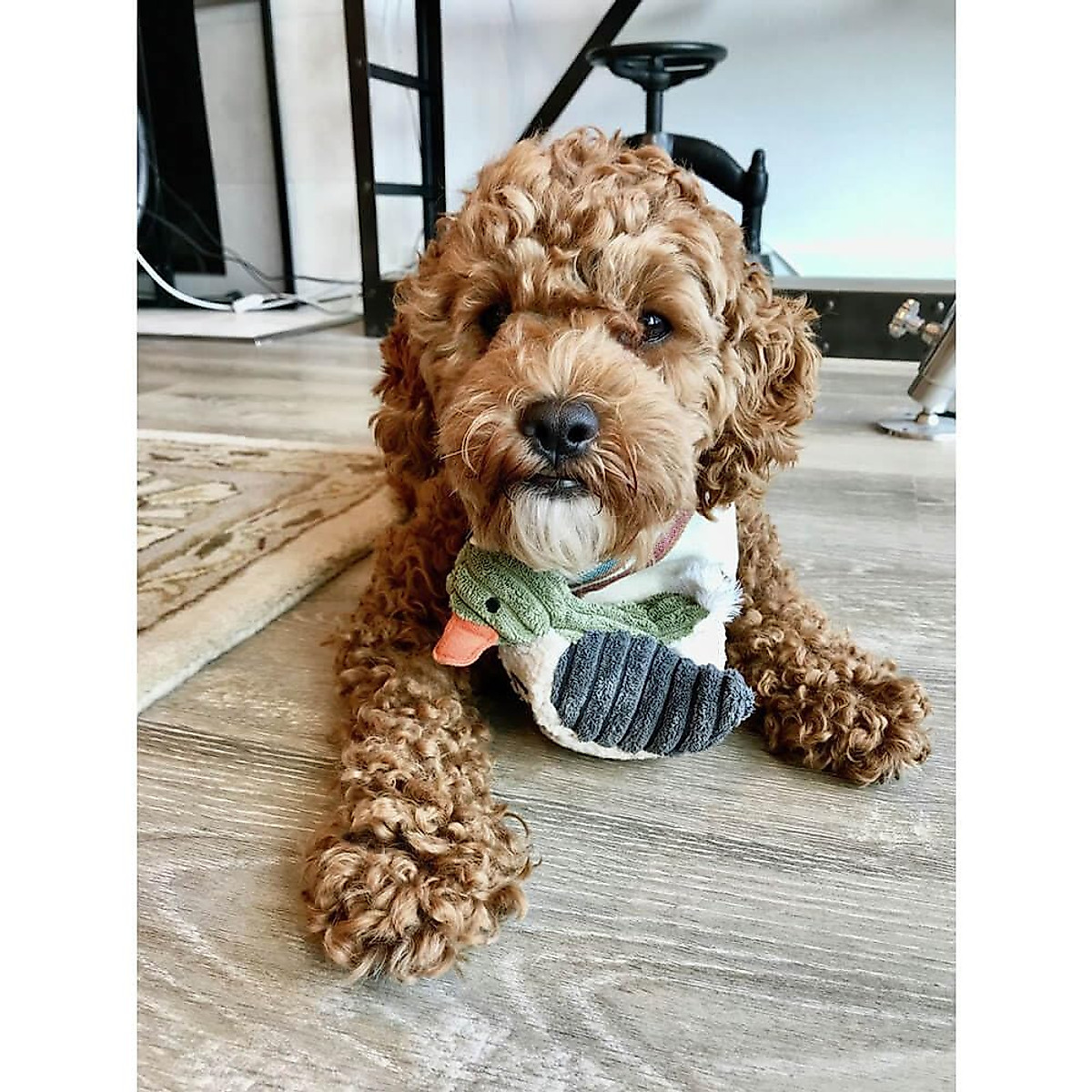 Tall Tails Small Classic Plush Squeaker Toy for Dogs, Duckling