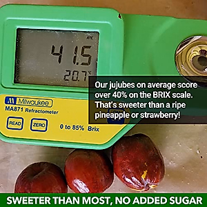 JUJUME | USDA Organic California Grown Jujubes Red Dates | Individually Sorted 3X for QA | High Grade Superfood | Healthy Dried Fruit | Certified All-Natural Non-GMO | 6 oz. bag