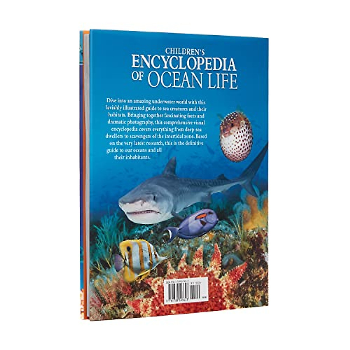 Children's Encyclopedia of Ocean Life: A Deep Dive into Our World's Oceans (Arcturus Children's Reference Library, 10)