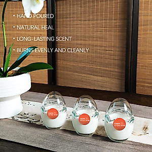 Aromagic 2 Pack Scented Candles Gift Set,Easter Candle Gifts Set,Glass Jar Candle for Home Scented,Sea Salt & Sage+Cream Bakery,Valentine's Day Anniversary Birthday Gift,50 Hours Long Burning