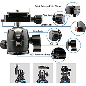 SIRUI AM-223 Carbon Fiber Camera Tripod Mini Travel Compact Tripod with 360° B-00K Ball Head, Arca Swiss Quick Release Plate, Loads up 15KG, Max Height 16", Folded Height 12.1"