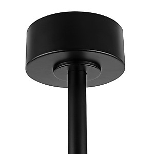 WINGBO 54 Inch DC Ceiling Fan without Lights, 5 Reversible Carved Solid Wood Blades, 6-Speed Noiseless DC Motor, Ceiling Fan No Light with Remote, Matte Black Finish with Walnut Blades, ETL Listed