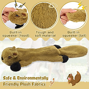 Alphatool Squeaky Dog Toy - Tough No Stuffing Squirrel Toys to Keep Dog Busy, Small Medium Large Dogs, Durable Interactive Plush Puppy Toys for Birthday Gift