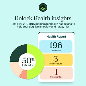 AncestryDNA Know Your Pet DNA: Dog DNA Breed Identification Test, Dog Health Screening, Genetic Traits, DNA Matches, Dog DNA Test, Dog Breed DNA kit, Easy-to-Use Pet DNA Health Test