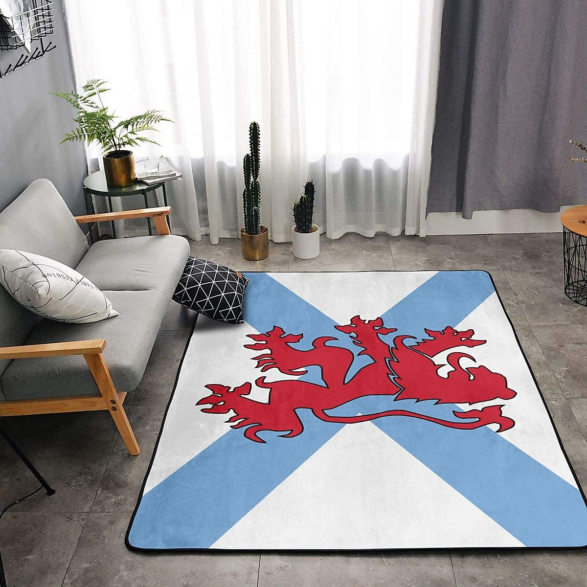 LIICHEES Flag of Boomerville, Dream SMP Area Rug 63x48in Washable Rugs for Living Room Bedroom Large Rug Indoor Decorative Carpet Yoga Mat