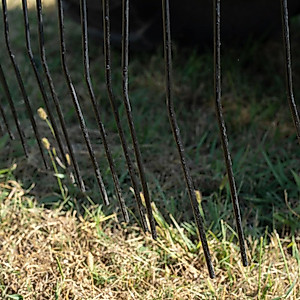 Titan Attachments 3 Point 6 FT Pine Straw Needle Rake, Category 1 Tractors, Coil Spring Tines, Drag-Behind Landscape Rake