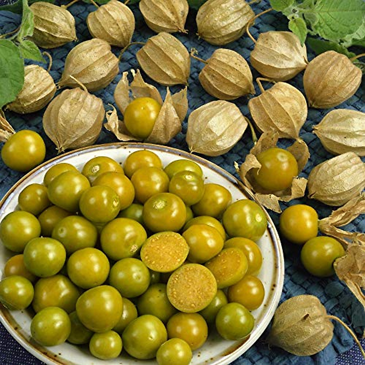 Outsidepride Perennial Cape Gooseberry Physalis Peruviana Goldenberry Fruit Plants - 1000 Seeds