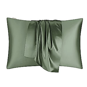 DISANGNI 100% Natural Mulberry Silk Pillow case for Hair and Skin with Hidden Zipper 22 Momme Both Sides Real Silk Pillow Case 1pc (Green, 2 Pack Standard Size 20"x26")