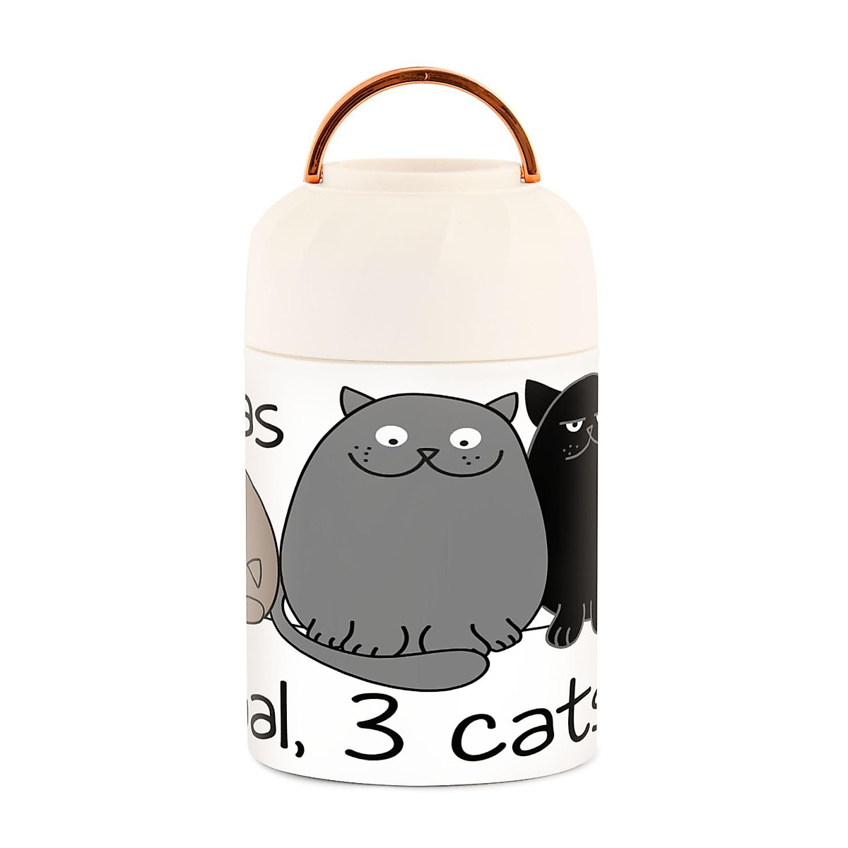 CUPADA Cute Different Cats Food Jar, Funny Quote Insulated Hot Food Jars Vacuum 17OZ with Folding Spoon for Work Trip Picnic Camping