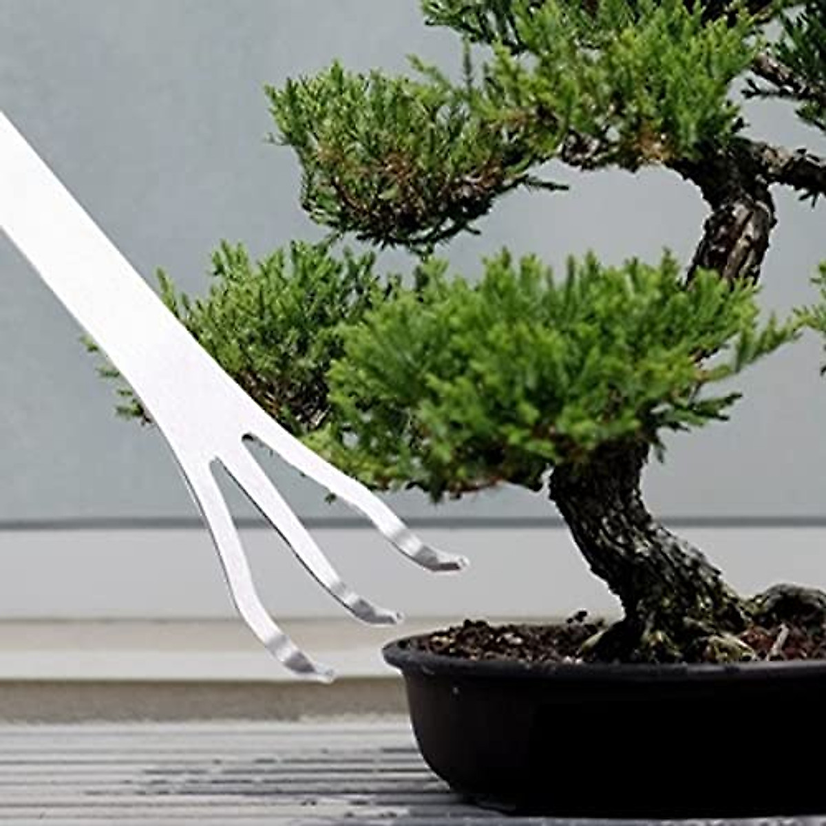 Bonsai Rake, Stainless Steel Root Rake 3-Prong Bonsai Tree Soil Loosening Tool Firm Bonsai Rake with Ergonomic Handle