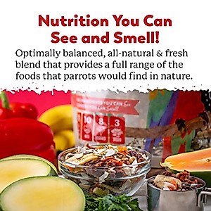 Dr. Harvey's Perfect Parrot Blend - Natural Food for Large Parrots (5 pounds)