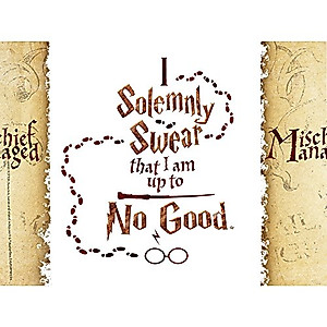 Tervis Made in USA Double Walled Harry Potter I Solemnly Swear Insulated Tumbler Cup Keeps Drinks Cold & Hot, 24oz, Classic