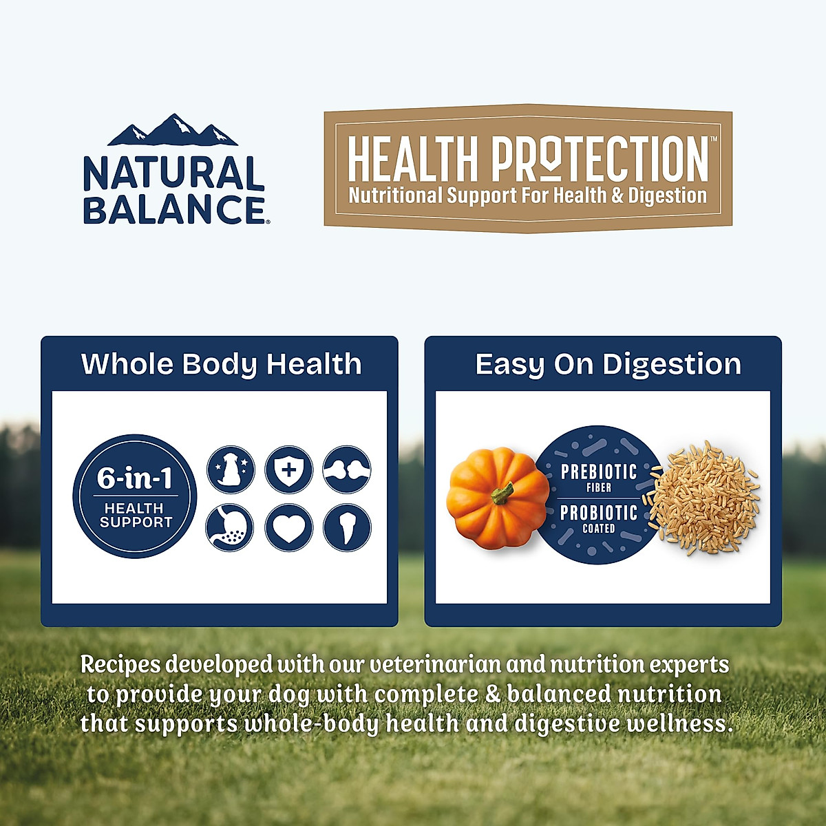 Natural Balance Health Protection Small Breed Dry Dog Food – Whole Body Health, Easy on Digestion Dog Food Made with Chicken, Brown Rice & Pumpkin for Dogs - 4lbs.