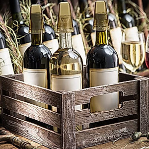 ZEAYEA 24 Pieces Pour Spout Covers, Universal Liquor Pourer Cover, Translucent Liquor Bottle Pour Dispenser Spout Dust Covers, Plastic Pour Dust Caps for Home Kitchen Tools Supplies