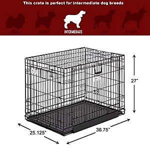 MidWest Homes for Pets Ovation Double Door Dog Crate, 36-Inch