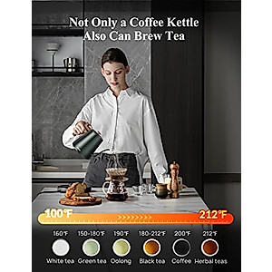 KLEAH Electric Kettle Gooseneck with Temperature Control Stainless Steel Automatic Shut Off Coffee Kettle Hot Water Boiler Pour Over Tea Kettle 1200 Watt Quick Heating Keep Warm, 0.8L for Gift