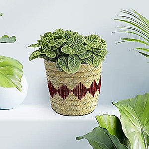 ATHENA HOME Hanging Basket - Small Woven Wicker Seagrass Hanging Basket Set 2 Flower Plants Wall Basket Decor 8 x 8 x 11 inches