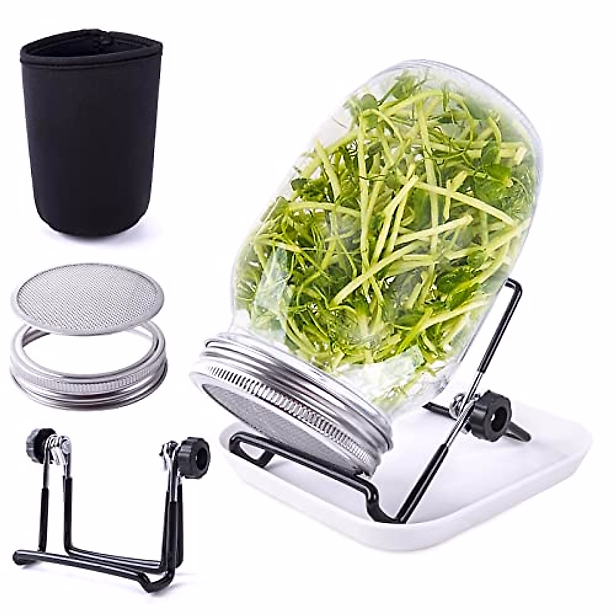 Seed Sprouting Jar Kit with 1 Wide Mouth Mason Jars Bean Sprouts Growing Kit Microgreens Growing Jar with Mesh Screen Lids Sprouter Sprouts Maker for Growing Broccoli, Alfalfa, Mung Bean