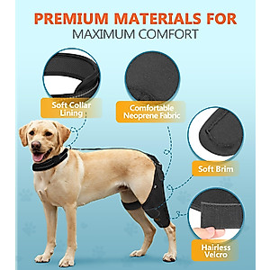 CAMRIER 2X Support Dog Knee Brace with Metal Strips for Joint Pain Relief, Dog Leg Braces for Torn Acl Hind Leg, Rear Leg Brace with Adjustable Traction Belt for Cruciate Ligament Injury, Arthritis