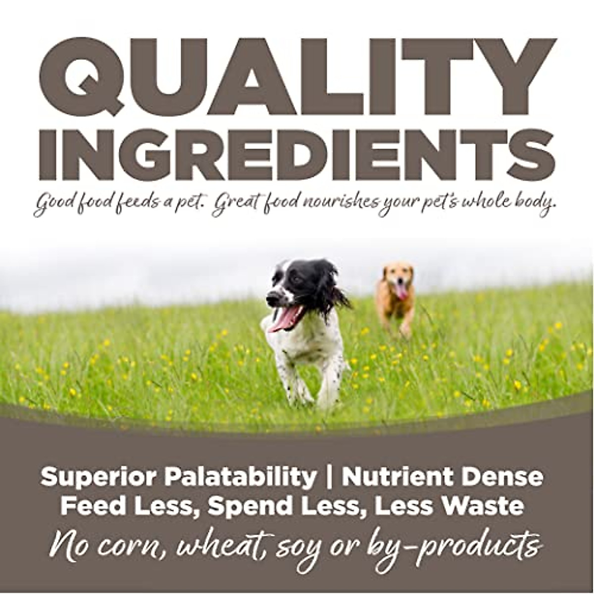 NutriSource Senior Dog Food, Made with Chicken and Rice, with Wholesome Grains, 30LB, Dry Dog Food