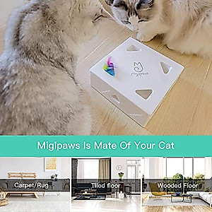Migipaws Cat Toys, Interactive Automatic 7 Holes Mice Whack-A-Mole, Ultra Fun Smart Teaser Toy for Indoor Cats, USB Rechargeable, 4 Pieces Feather Refills