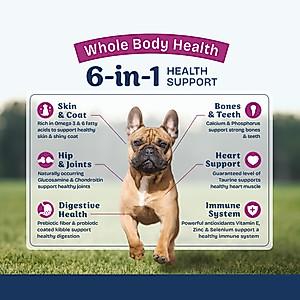 Natural Balance Health Protection Small Breed Dry Dog Food – Whole Body Health, Easy on Digestion Dog Food Made with Chicken, Brown Rice & Pumpkin for Dogs - 4lbs.