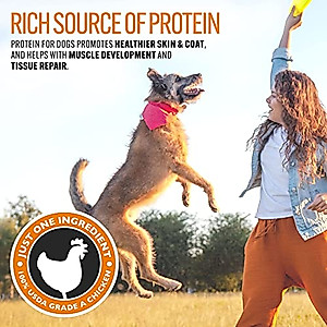 EBPP Chicken Jerky Dog Treats Made in USA - 100% Natural Dog Jerky Treats Made with Real Chicken - Grilled Chicken Strips for Medium Dogs, Large Dogs and Small Dogs