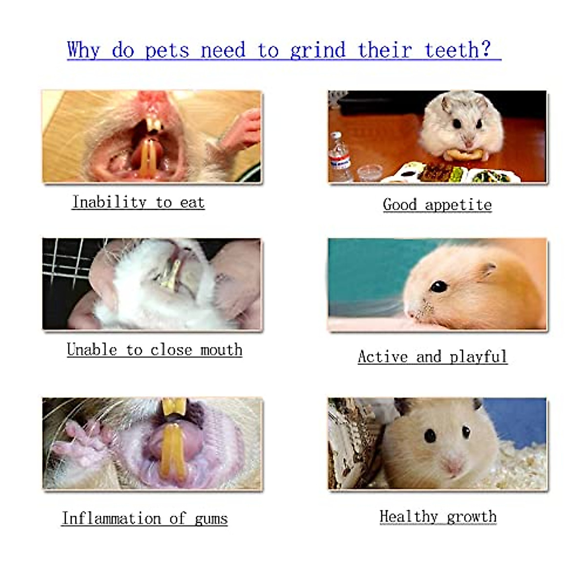 Syhemtya Chinchilla Toys Hamster Chew Toys Guinea Pig Toys Rat Toys Hamster Cage Accessories Small Animal Teeth Care Apple Wooden Accessories Set,Ball Ladder Bridge Swing Roller for Playground