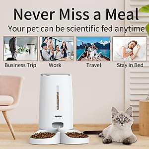 LAPADU Automatic Cat Feeder, Automatic Pet Feeder for Two Cats Dogs, 4L Dry Food Dispenser with Splitter and Two Stainless Bowls,6 Meal Portion Control and Timer Setting, 60 Portions 6 Meals Per Day
